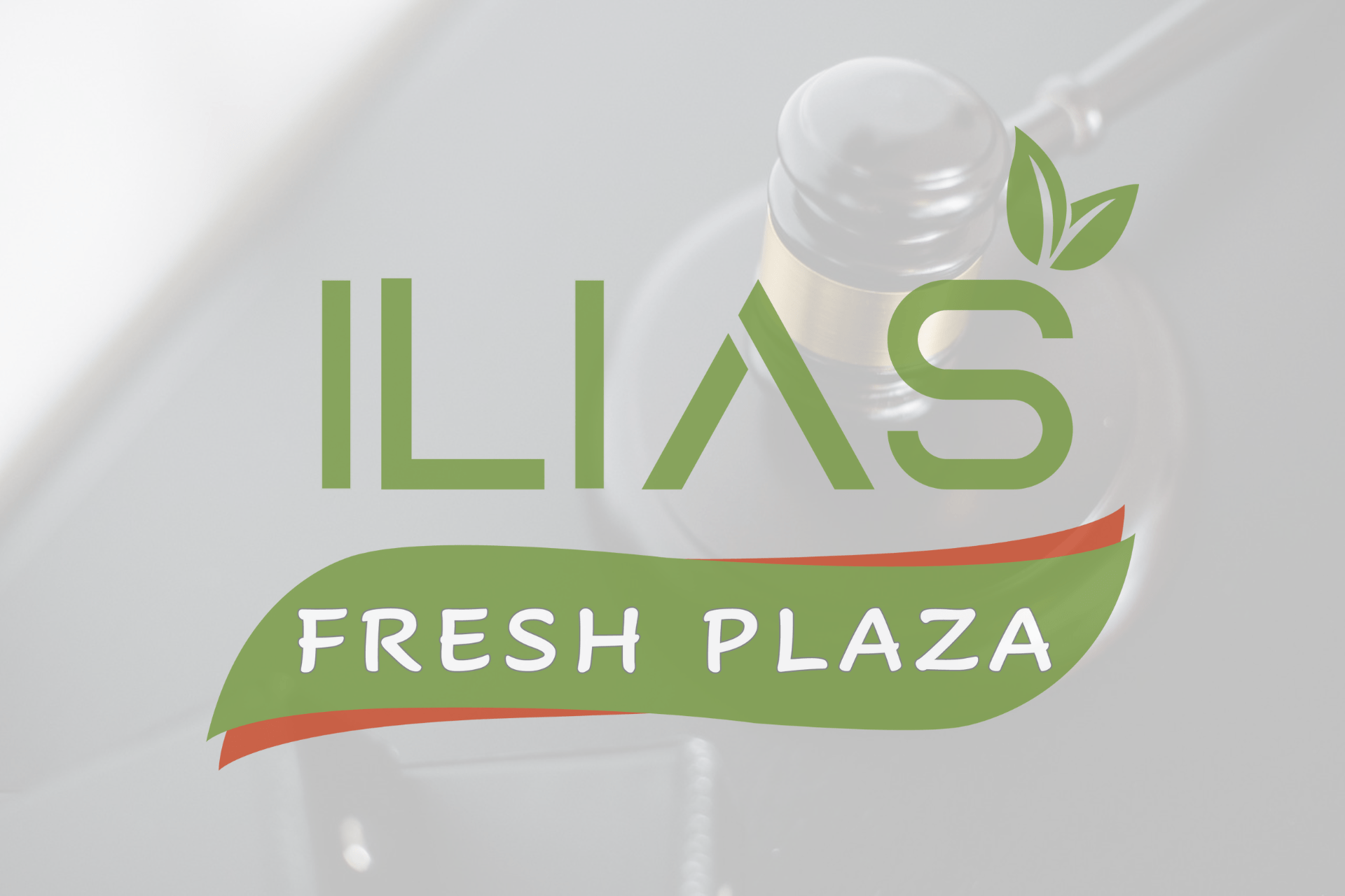 Termes et Conditions - Ilias Fresh Plaza