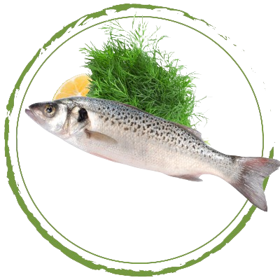 Courbine "par kilo" - Ilias Fresh Plaza