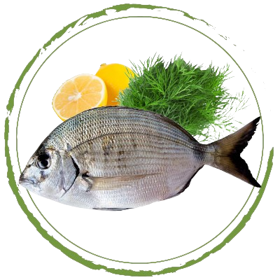 Chargho "par kilo" - Ilias Fresh Plaza