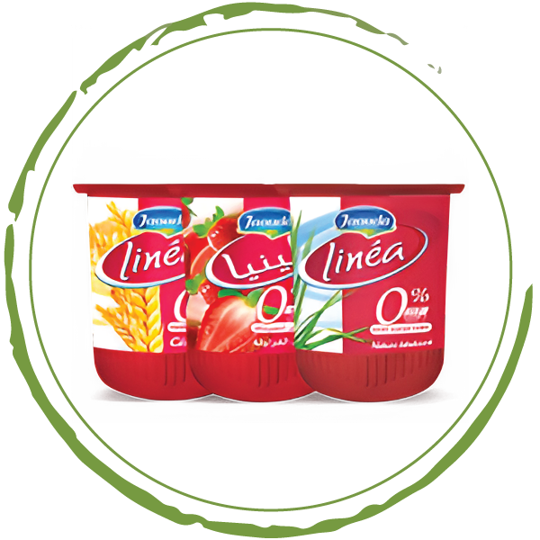Jaouda Le Yaourt Linea - Ilias Fresh Plaza